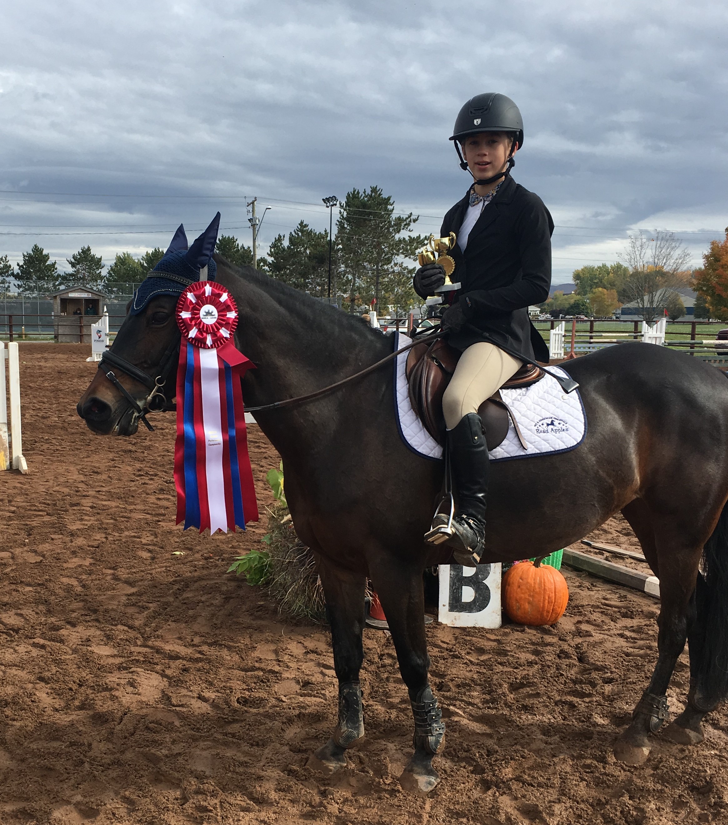 NBEA Bronze Championships 2019 - New Brunswick Equestrian Association