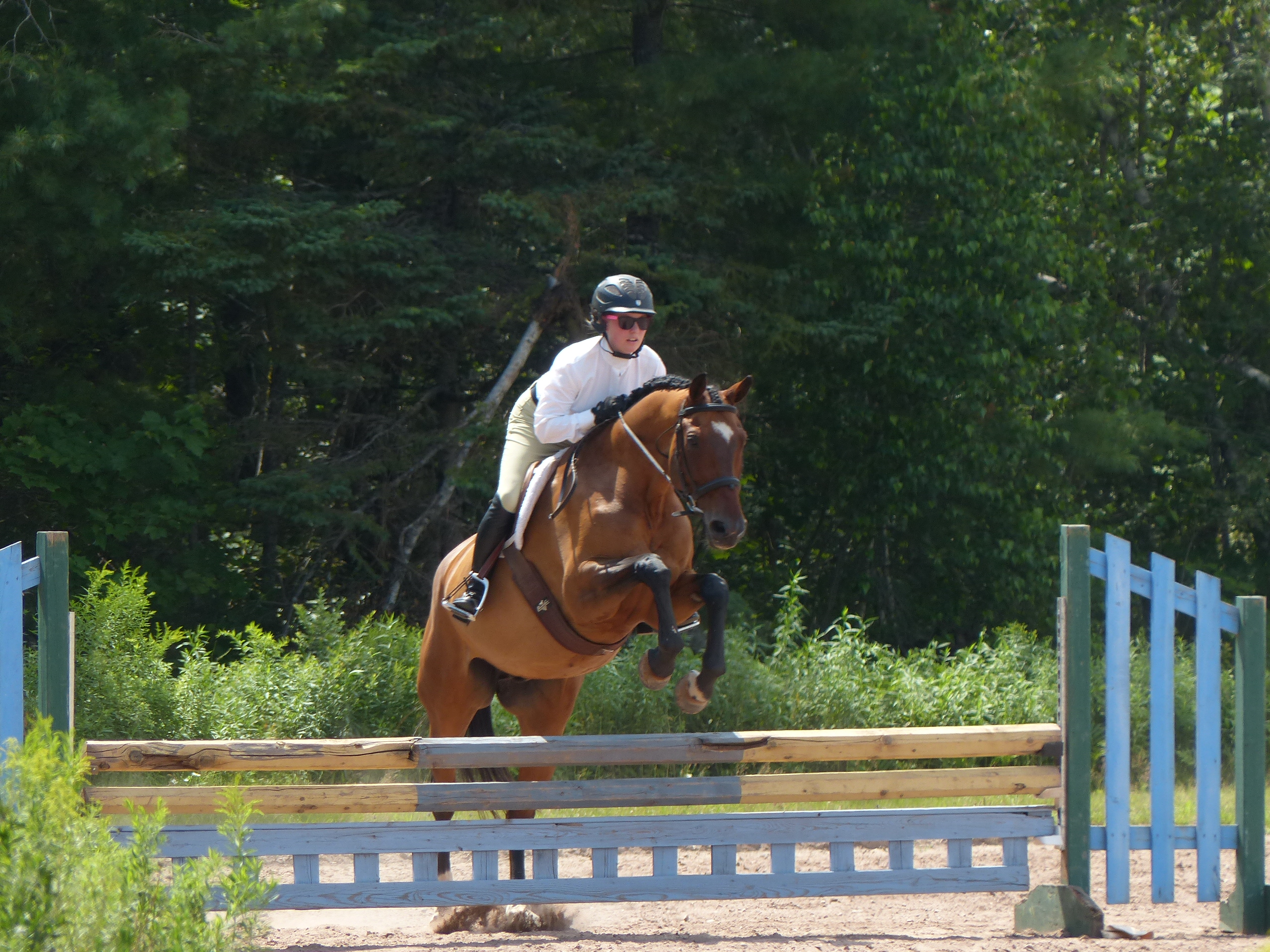 Geary Hill Stables Equestrian Challenge #1 - 2020 - New Brunswick ...