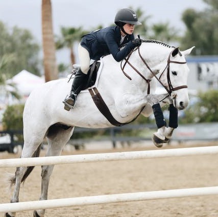 Hunter/Jumper - New Brunswick Equestrian Association