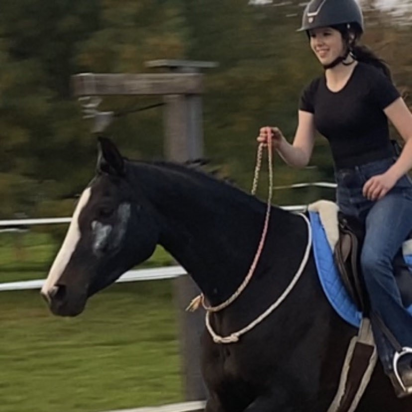 Youth Bursary - New Brunswick Equestrian Association